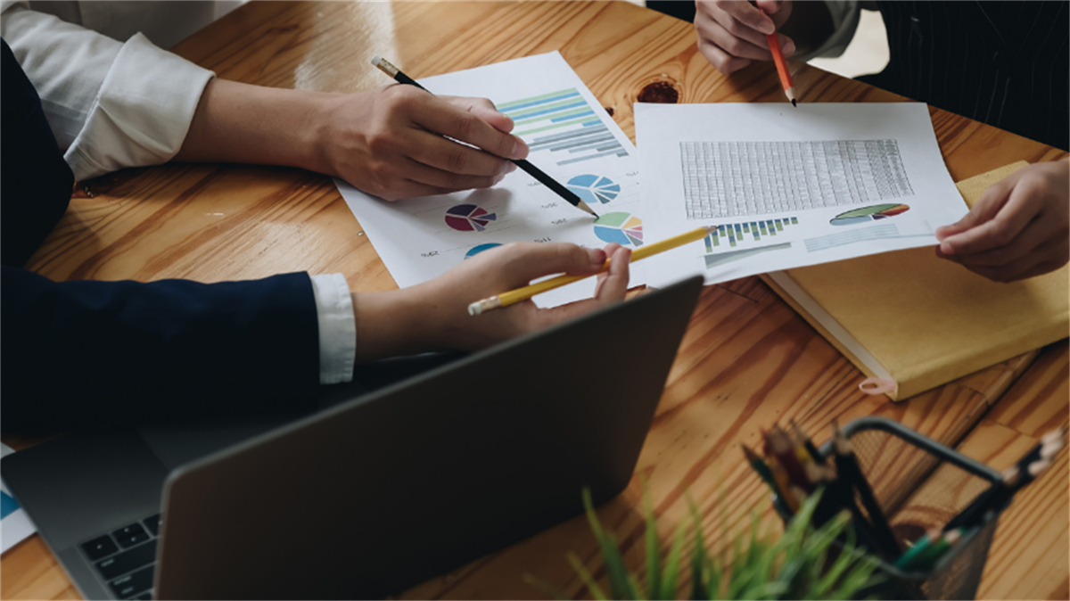 Advisory Groups & Working Groups | Charters Towers Regional Council